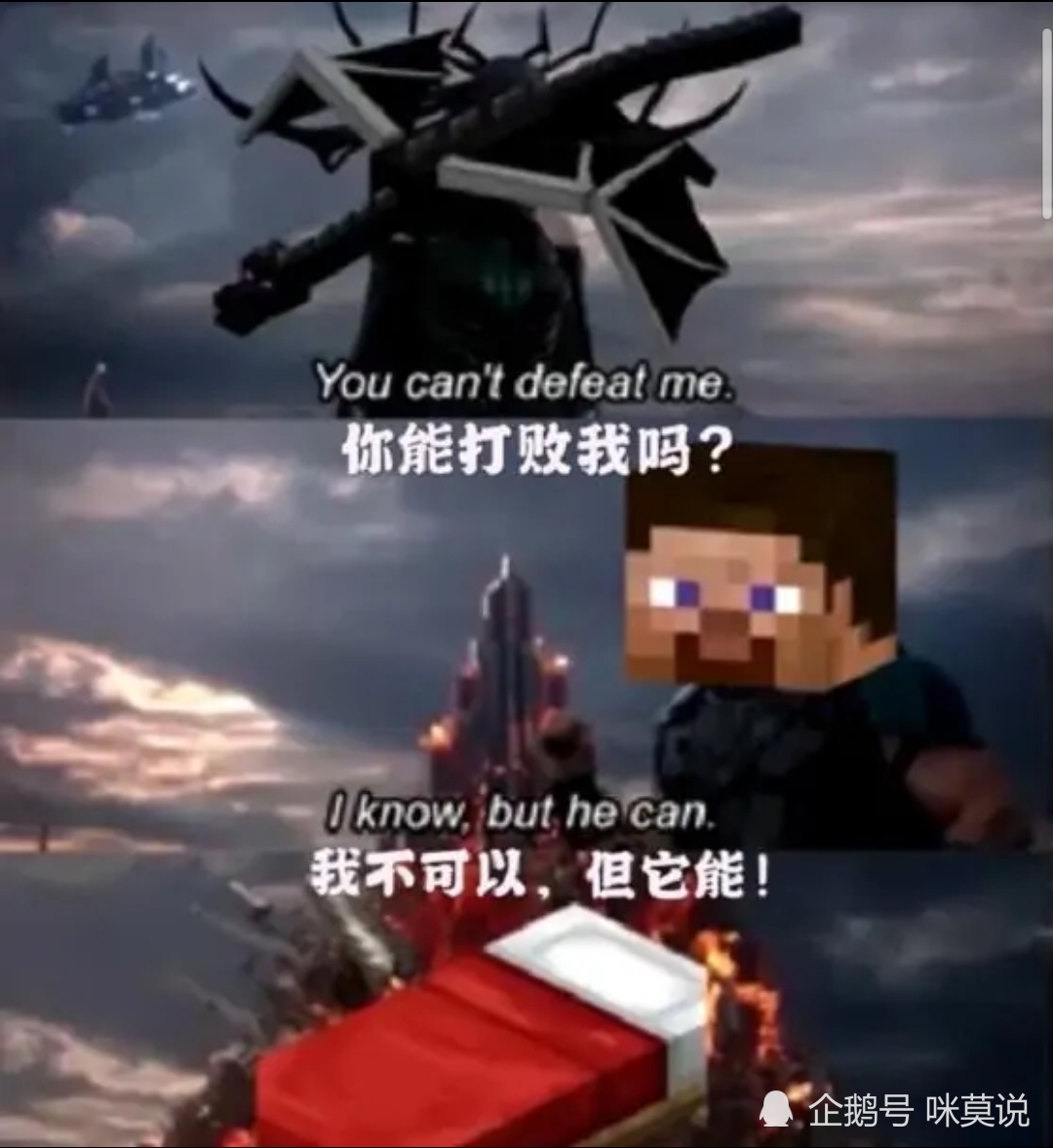 我的世界：关于MC的“梗”图，老玩家一眼就懂，萌新却不明所以