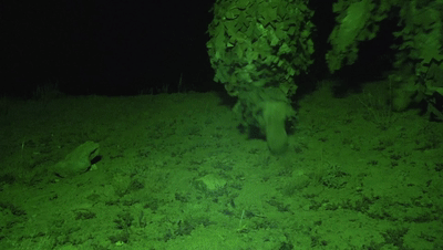 新疆军区全装荒漠星空迷彩部队砺剑高原：已列装QBU203型“高精狙”_腾讯新闻