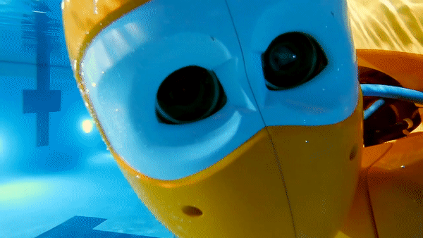 1600米深海沉船如何探索？斯坦福人形机器人实现远程人机交互下潜_腾讯新闻