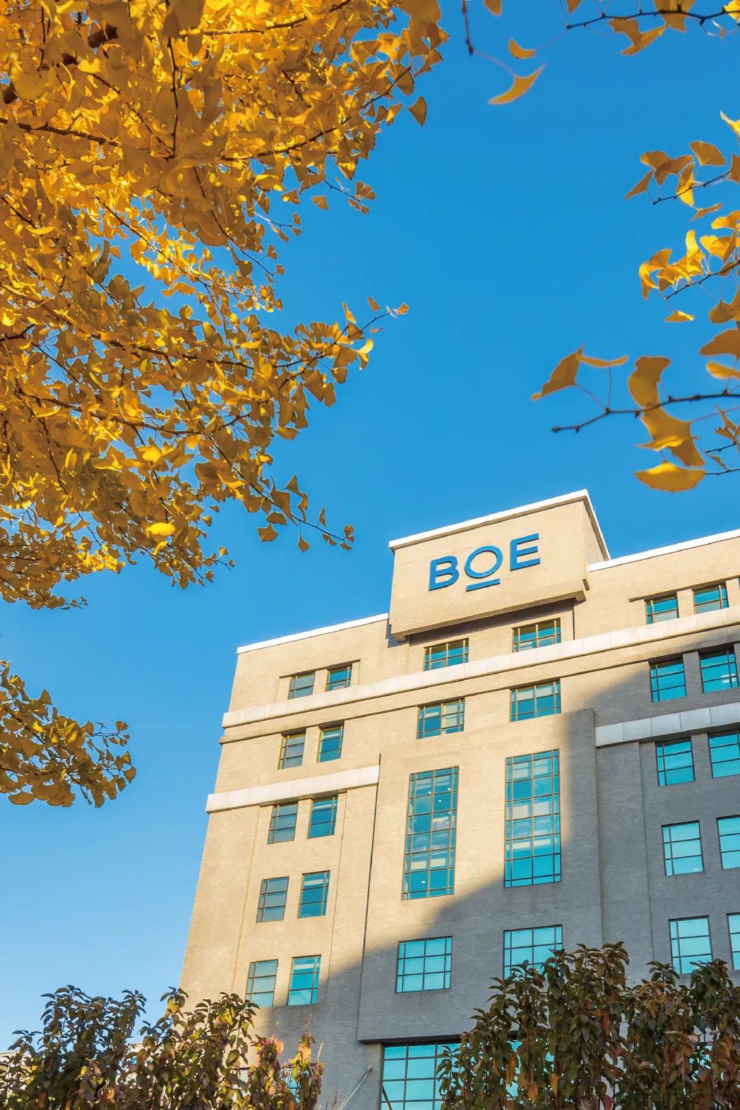 打卡500强喜爱的宝藏园区·BOE电竞嘉年华来了｜北京LOOK