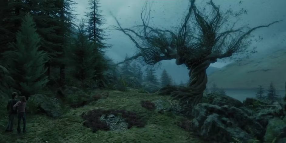 《哈利波特》：走出霍格沃茨的每一条秘密通道