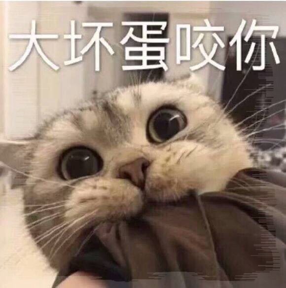 悄悄话可爱表情包-千图网