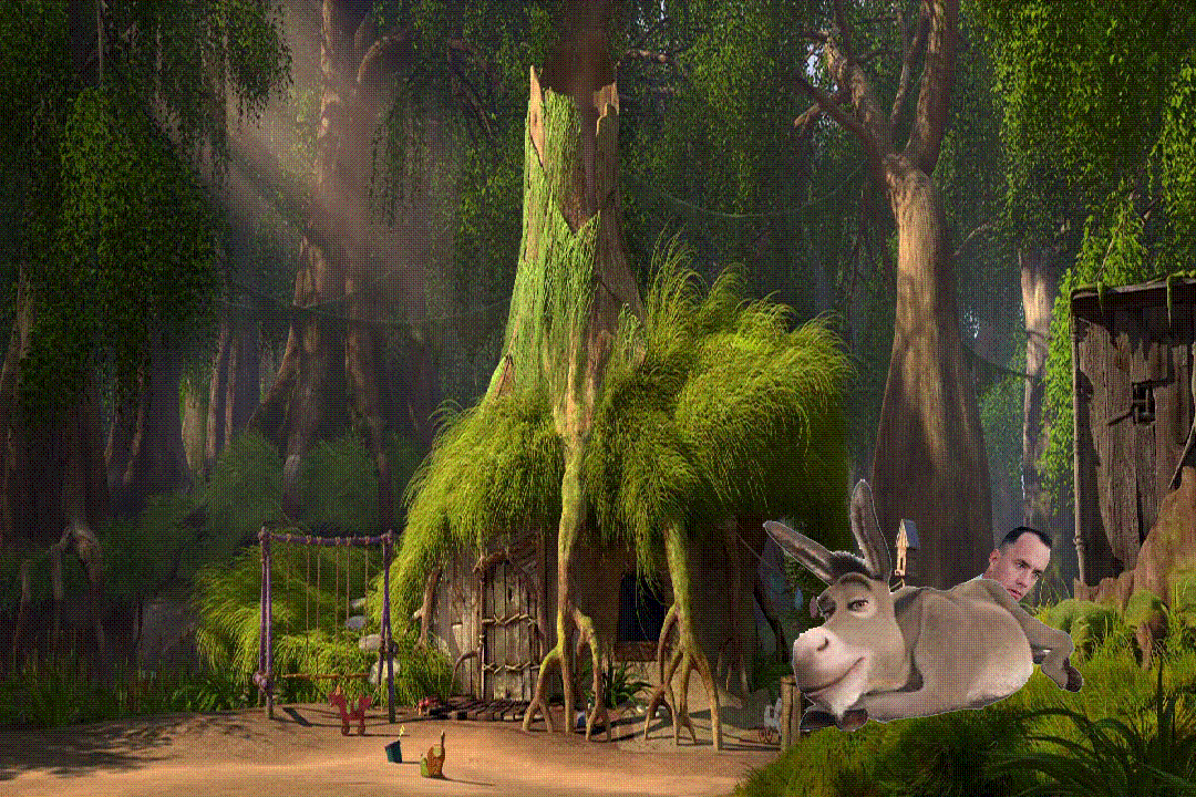 《怪物史瑞克》原型驴子，被执行安乐死！_腾讯新闻