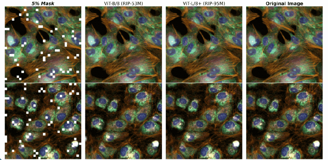 技术变革还是炒作噱头？AI for Bio到底能做什么｜AI驱动科学_腾讯新闻