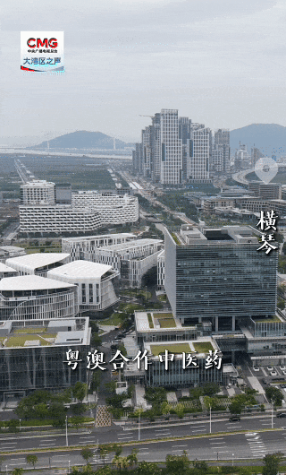 勇立潮头大湾区丨琴澳良方 构建产业新生态_腾讯新闻