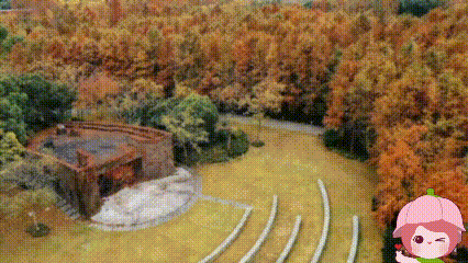 假如上海下雪，顾村公园将变成……_腾讯新闻