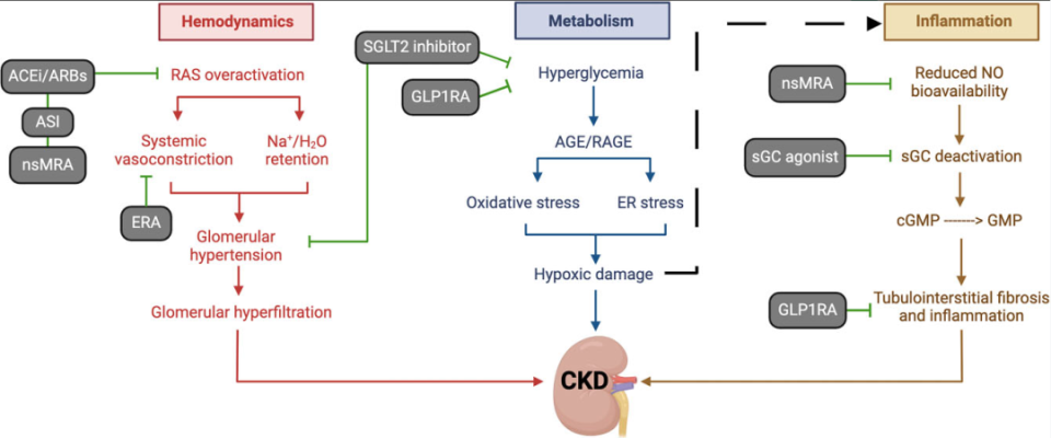 延缓CKD进展的新靶点药物盘点 | 述评_腾讯新闻