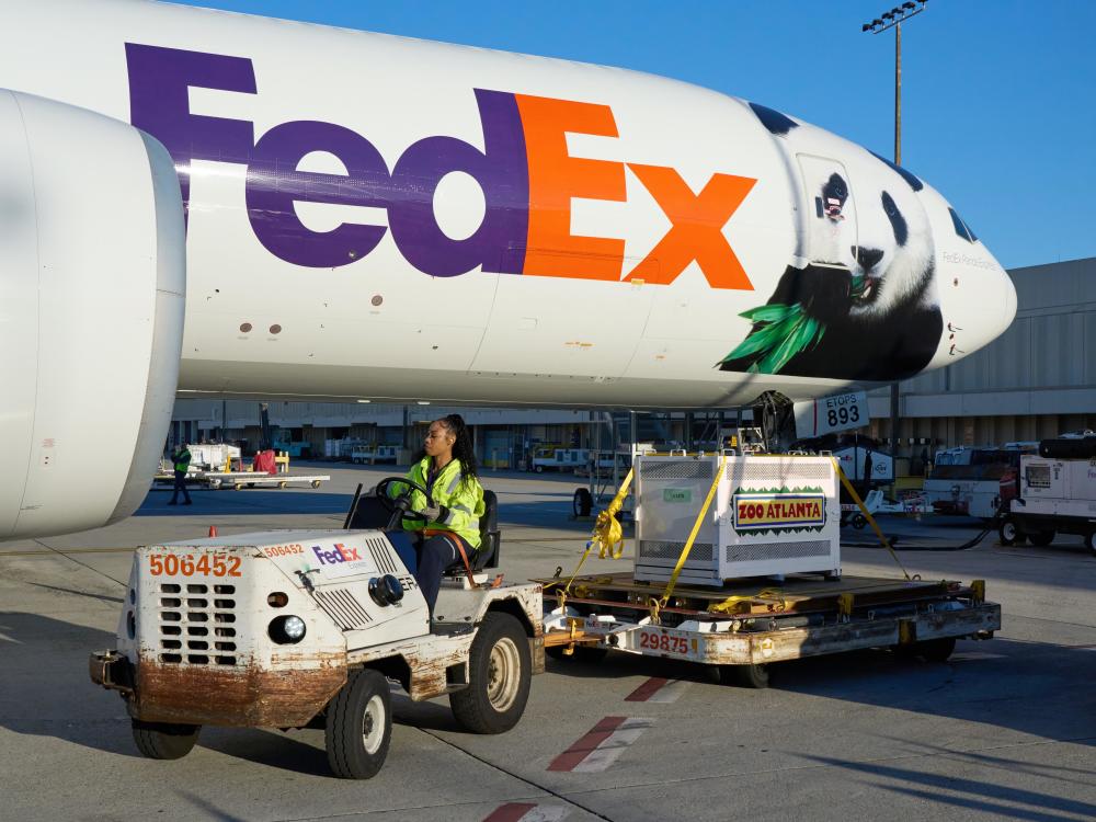 联邦快递“FedEx熊猫快递号”专机完成首次往返中美运送大熊猫任务_腾讯新闻