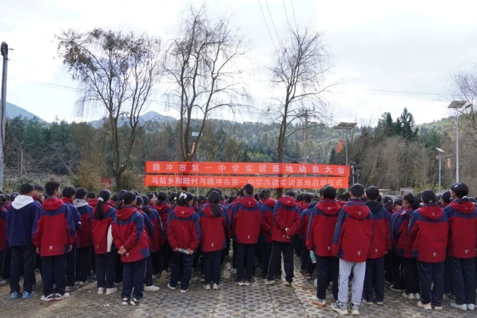 藏在茶花村里的劳动课堂！_腾讯新闻