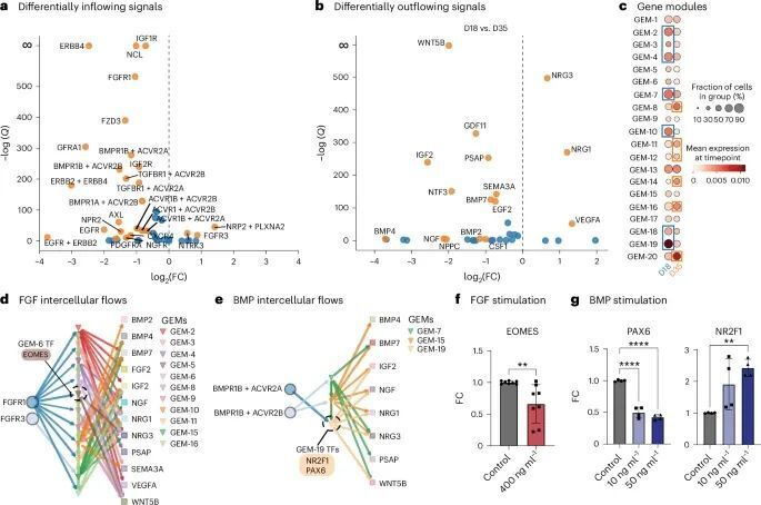 Nature Methods | 从胚胎发育到疾病解析：FlowSig引领细胞间信号流动研究新方向_腾讯新闻