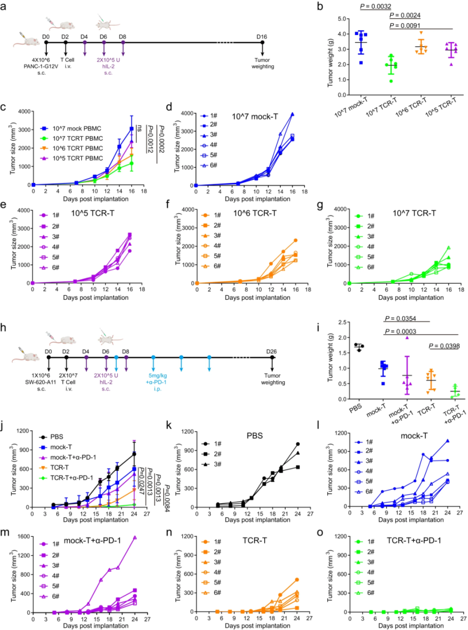 中国科学院大学研究学者发现携带KRAS-G12V突变肿瘤治疗方案_腾讯新闻