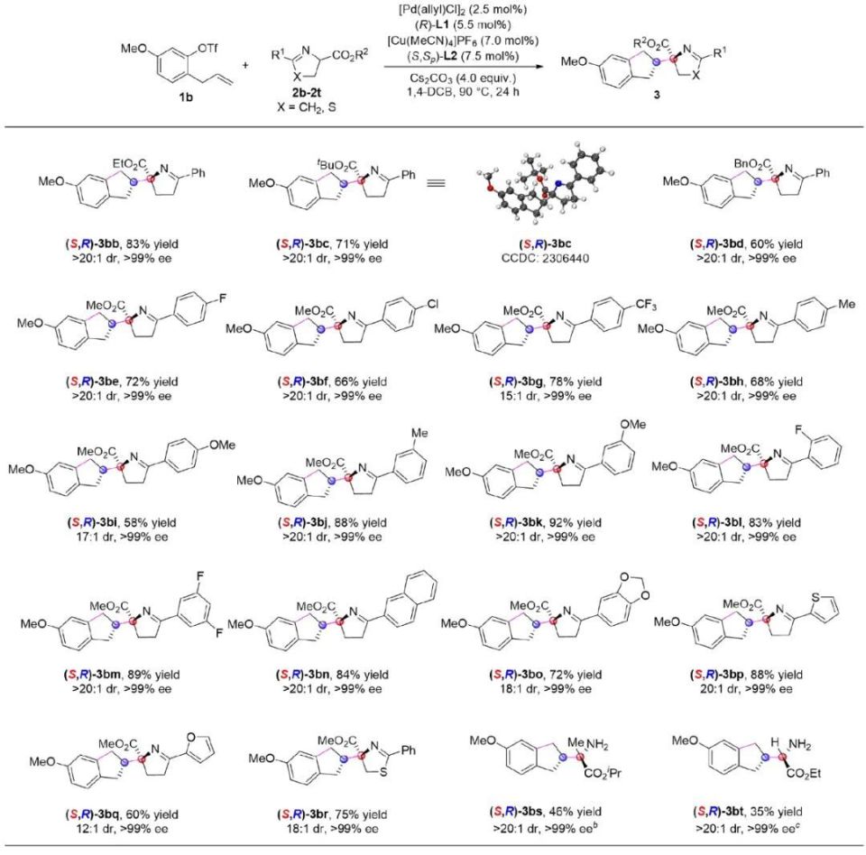 上海交通大学张万斌JACS：Pd/Cu协同催化Wacker-Type的立体发散性双碳官能化反应_腾讯新闻