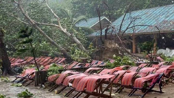 普吉岛一中国女游客被倾覆大树砸中去世，驻普吉领事办证实此事_腾讯新闻