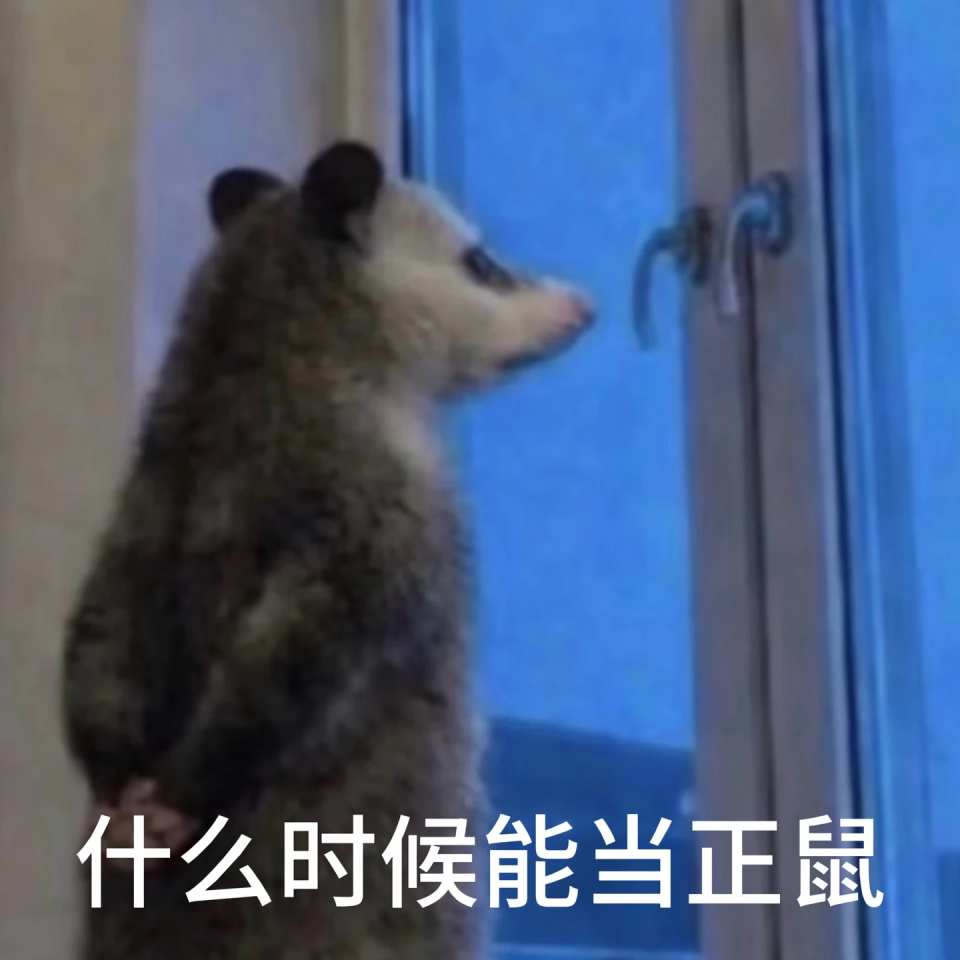 “背手负鼠”火了！网友：我将全网收集这只负鼠的表情包_腾讯新闻