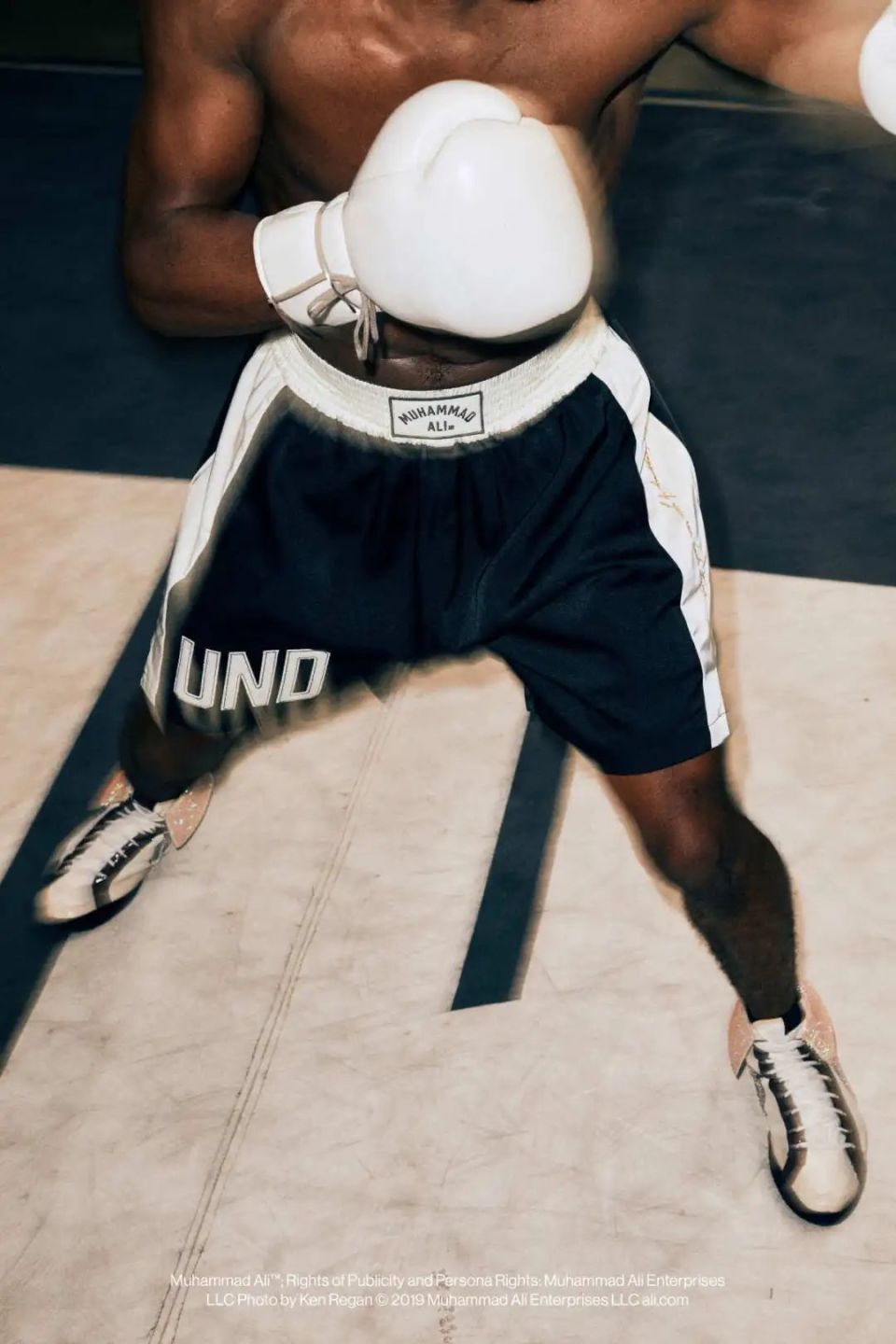 离大谱！NIGO 被曝出贩售假 BAPE 狂捞 3 亿美元_腾讯新闻