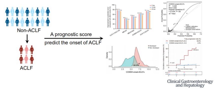 APASL名家讲堂丨李君教授：ACLF预警模型最新进展，中国大样本数据领跑启航_腾讯新闻