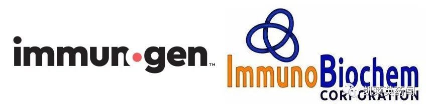FRa ADC先驱ImmunoGen：达成一项外延合作，拓宽靶点以开发下一代ADC！_腾讯新闻