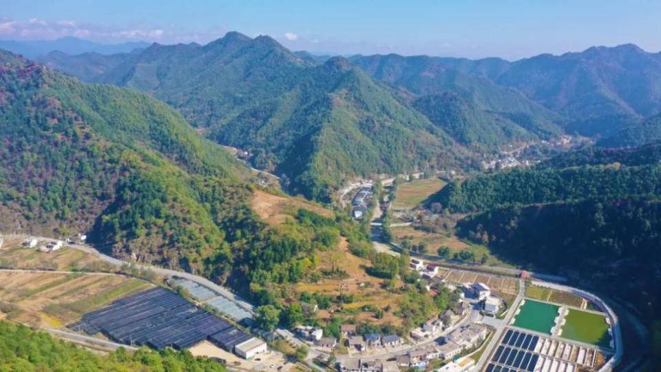 商州：农业产业蓬勃发展，乡村振兴绽放华彩_腾讯新闻