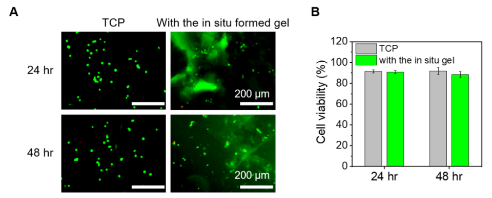 《Bioact. Mater.》可涂抹/缓释/粘附得水凝胶心脏补片用于梗塞心脏修复！_腾讯新闻