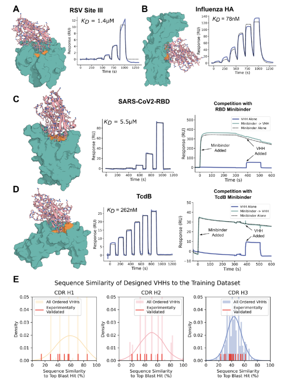 David Baker团队新成果！RFdiffusion再进化，实现原子级精度的抗体从头设计_腾讯新闻
