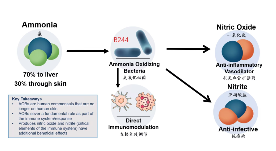 梅栏访 | 对话AOB Pharma公司总裁Todd Krueger：引领活菌药物治疗特应性皮炎的科研前沿_腾讯新闻