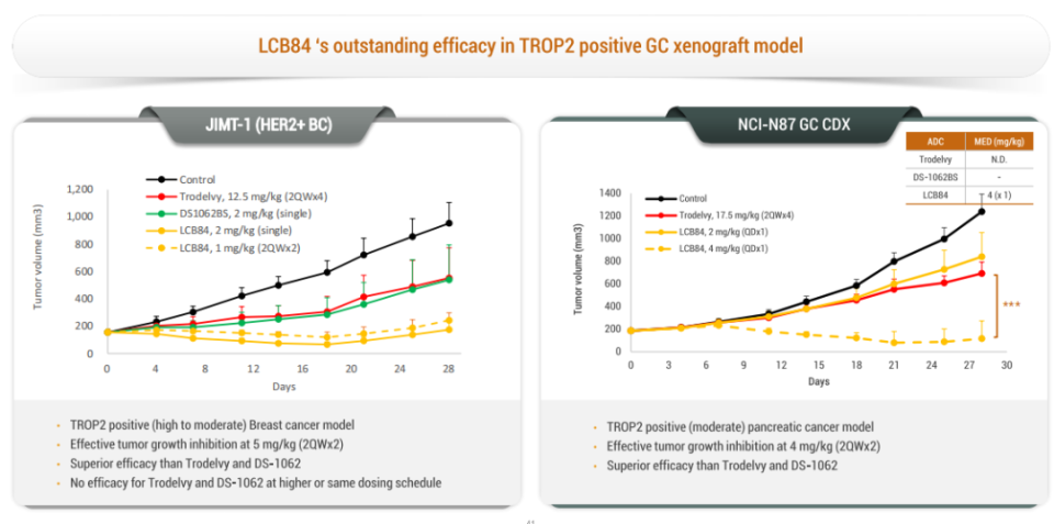 强生的ADC版图：前列腺癌能否成为突破口？_腾讯新闻