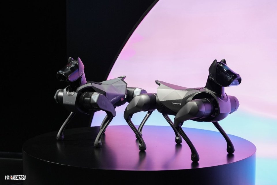 小米CyberDog 2现场体验：更聪明的仿生四足机器人_腾讯新闻