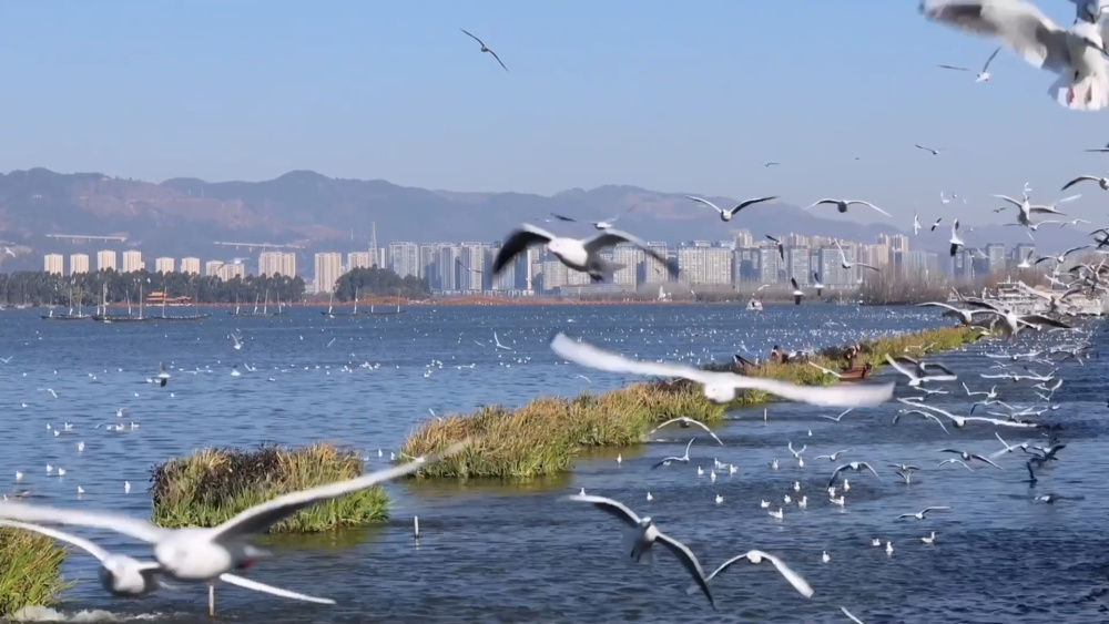 新华视点｜开年看消费 活力在中国奔涌_腾讯新闻