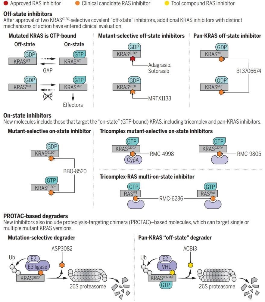 《科学》：让促癌KRAS突变蛋白消失！科学家开发PROTAC药物，可降解13种常见KRAS突变，或较抑制KRAS更有效_腾讯新闻