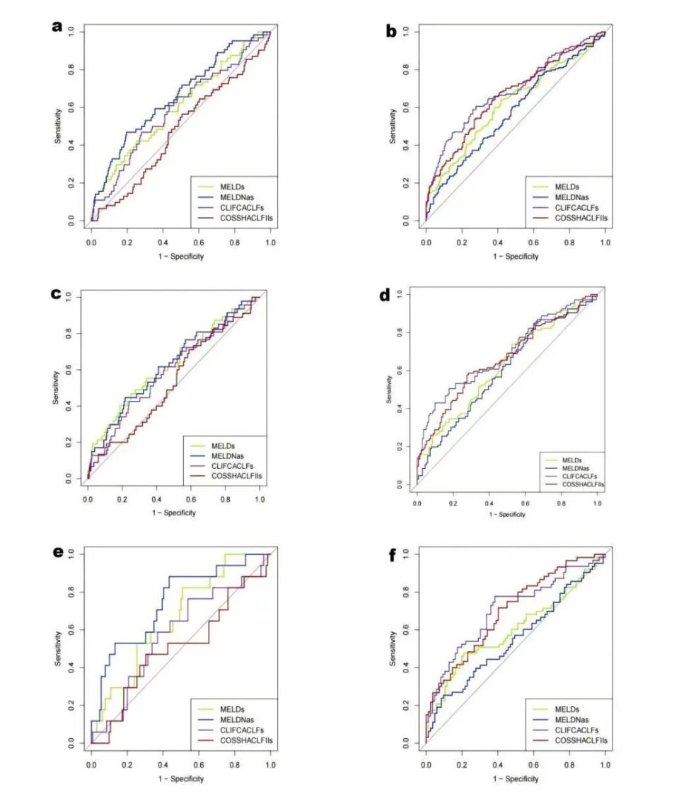 APASL 2025丨韩涛教授团队在肝衰竭、肝癌、肝纤维化等领域收获5项重要成果_腾讯新闻