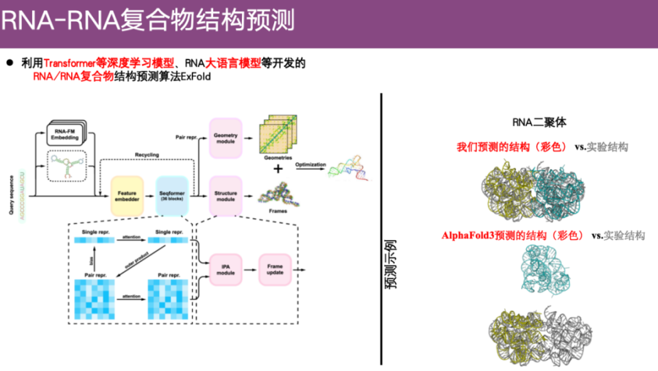南开大学郑伟教授：AlphaFold并不完美，学术界尚有「弯道超车」的机会_腾讯新闻