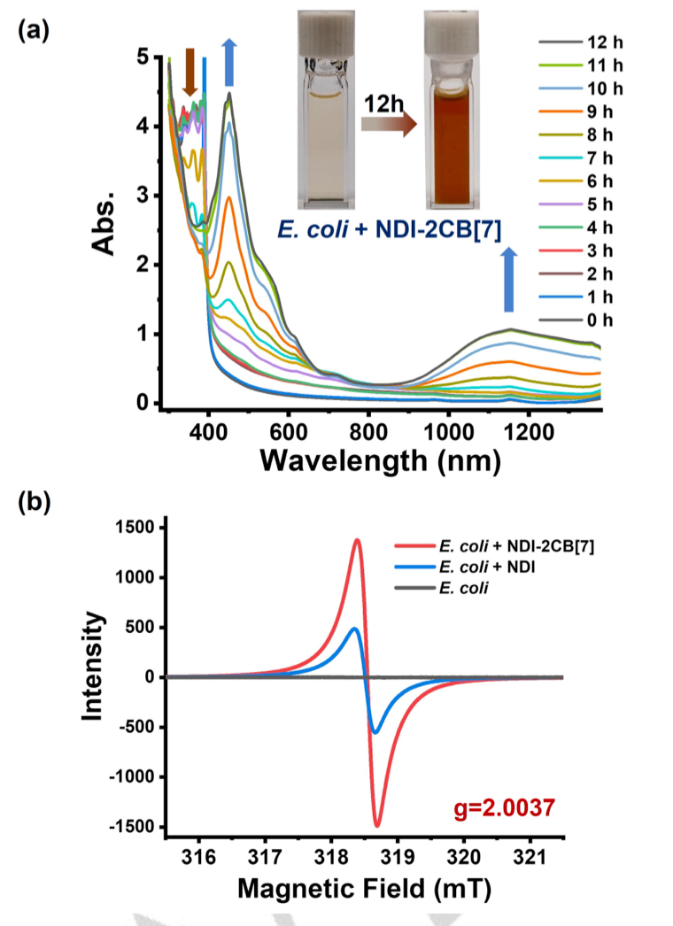 张希院士/徐江飞副研究员团队，最新《Angew》！_腾讯新闻