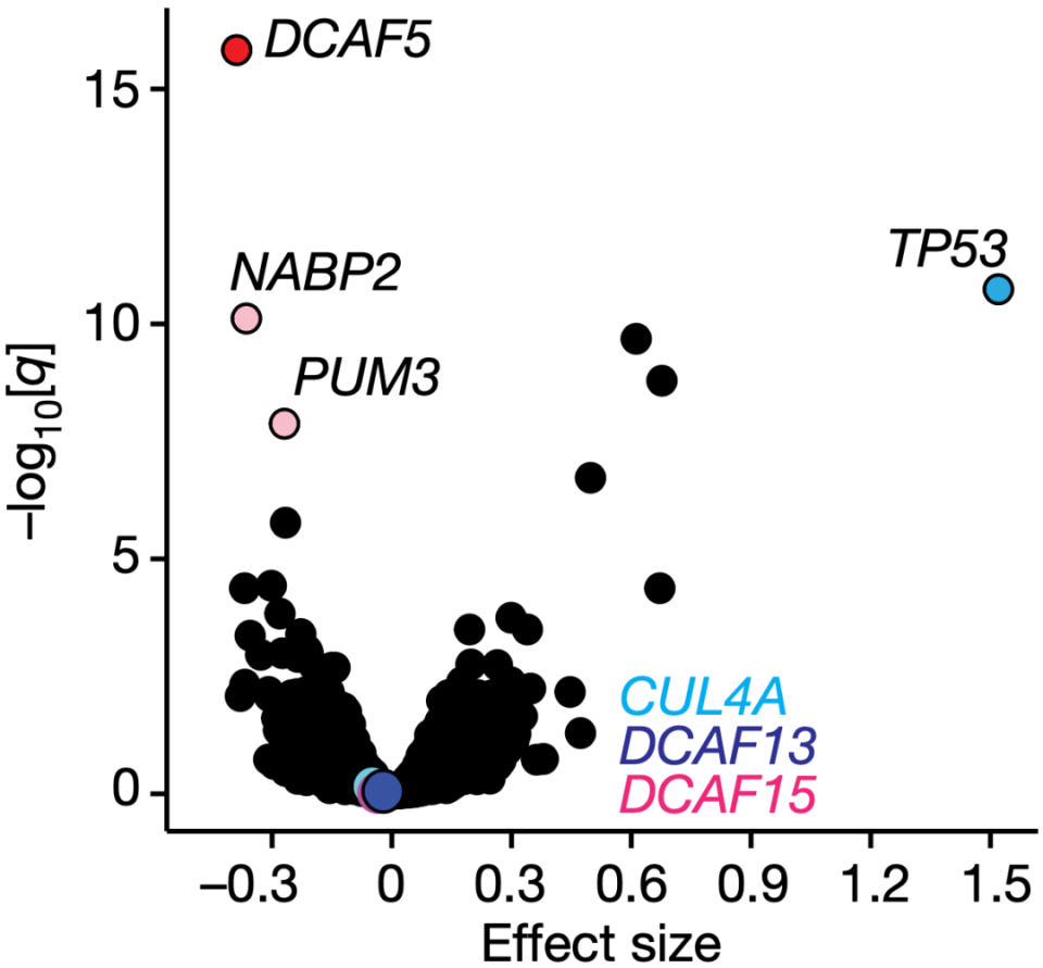 《自然》：把癌细胞变回正常细胞！一种全新的抗癌理念诞生_腾讯新闻