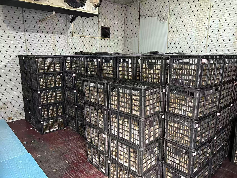 为什么车厘子长时间运输不会坏？_腾讯新闻