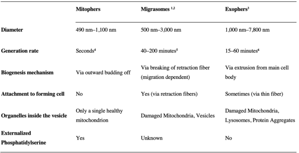 西湖大学新研究：发现全新细胞结构，对精子活性至关重要_腾讯新闻