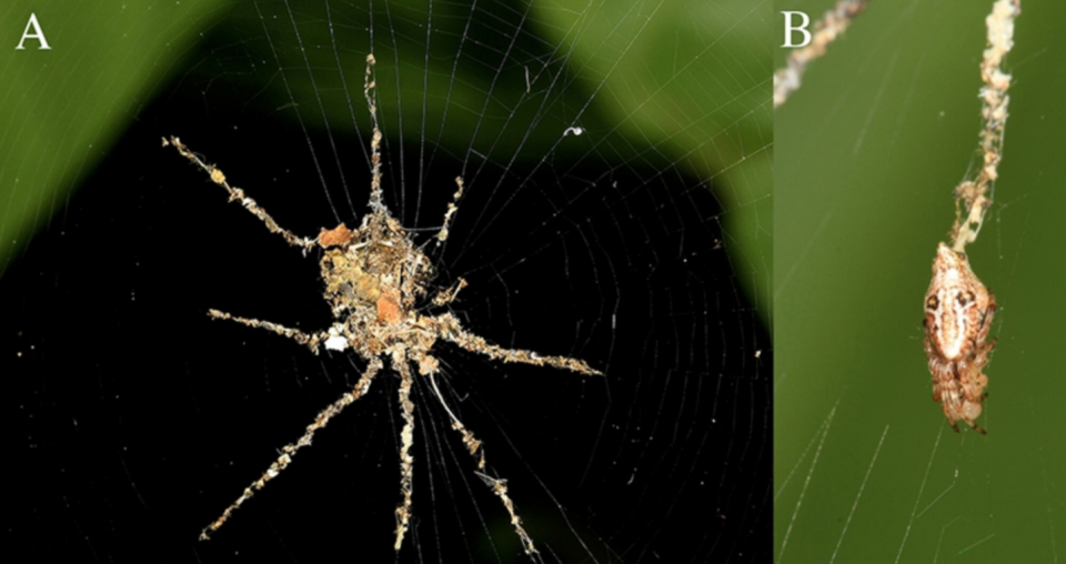 公共厕所洗手后习惯性用干手机？小心细菌超标，你的手就白洗了？_腾讯新闻