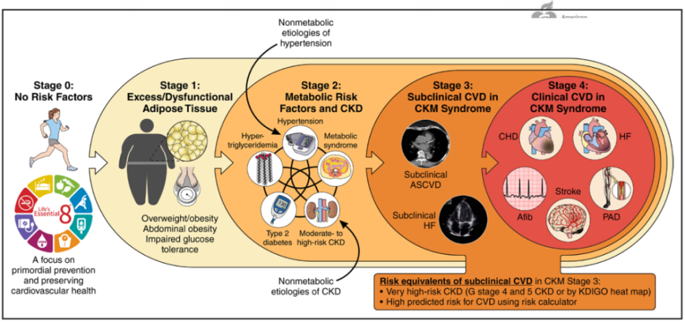 双管齐下？AHA提出心肾代谢（CKM）综合征新概念，助力心肾代谢健康！_腾讯新闻