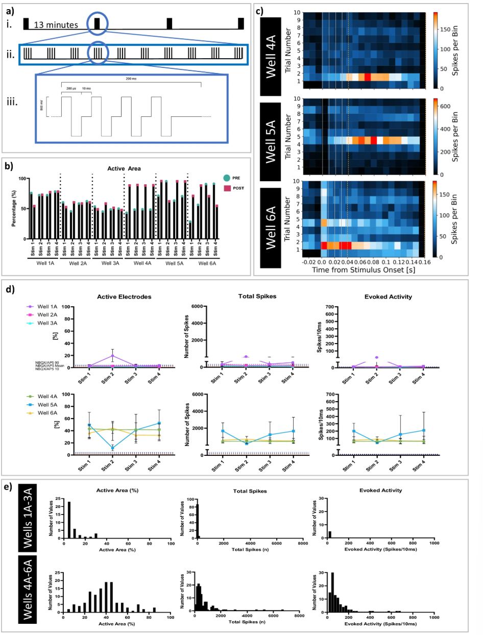 Commun Biol｜新进展！人脑类器官展现学习记忆基础能力，神经科学研究又添新模型_腾讯新闻