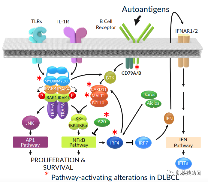 赛诺菲/Kymera：IRAK4降解剂KT-474首次公布化学结构，免疫炎症1期治疗结果积极！_腾讯新闻