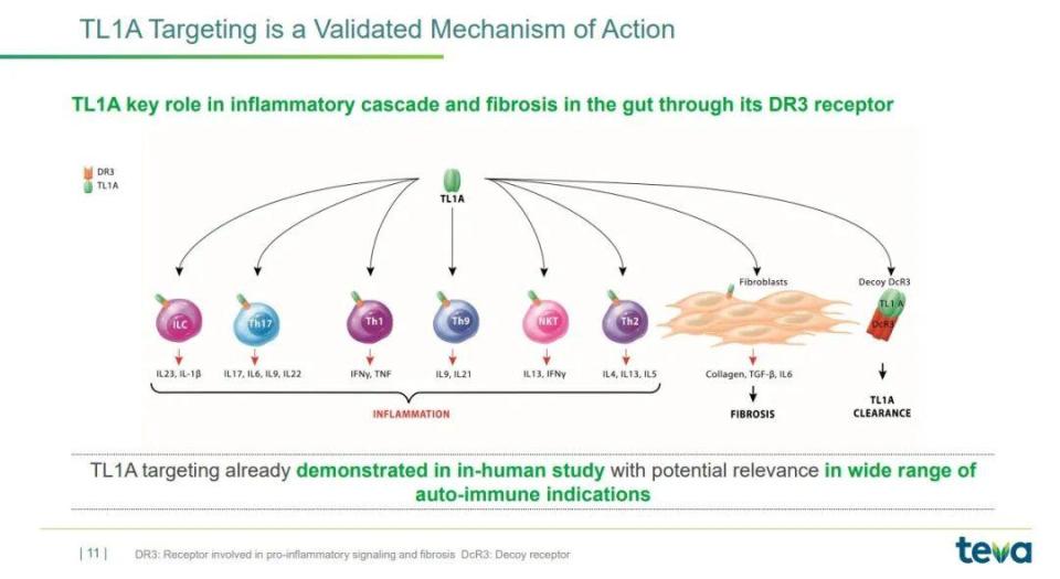 近半溃疡性结肠炎患者达缓解！赛诺菲/梯瓦潜在“best-in-class”疗法即将进入3期试验_腾讯新闻