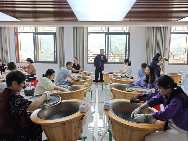 青椒计划赋能雷山 公益力量助力乡村振兴_腾讯新闻