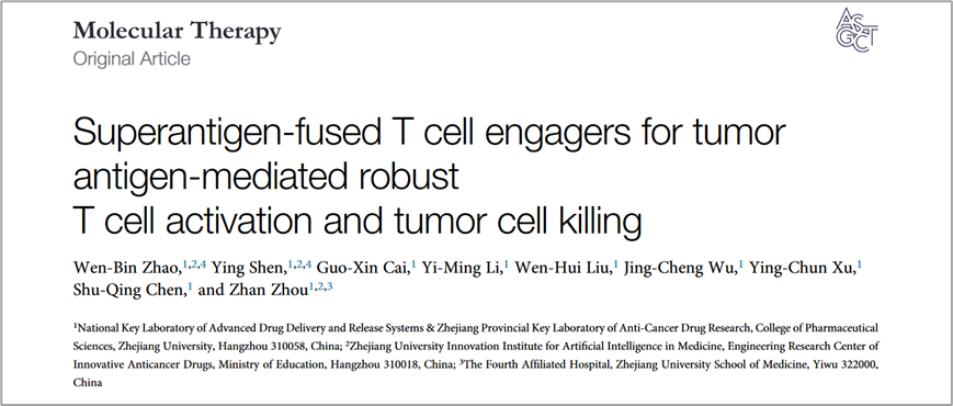 Molecular Therapy | 浙江大学研究团队通过融合超抗原以提高T细胞衔接器在实体瘤中的疗效_腾讯新闻