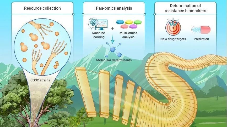 The Innovation Life | Split-HaloTag：为细胞生理活动的精准记录提供新方案_腾讯新闻