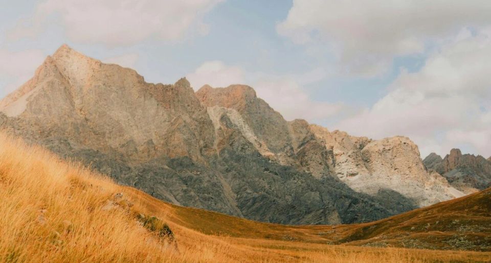 AGI的终极形态，是分布式集体智能？_腾讯新闻