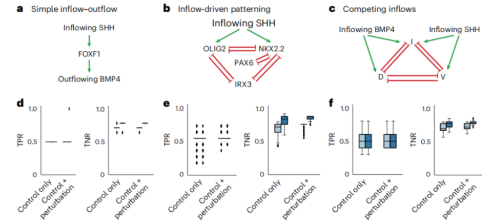 解密细胞间通讯新利器——FlowSig技术如何重塑我们对生物过程的理解_腾讯新闻