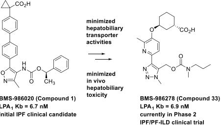 应用AiDMET成药性评估，诠释全球首创LPA1抑制剂的优化历程_腾讯新闻
