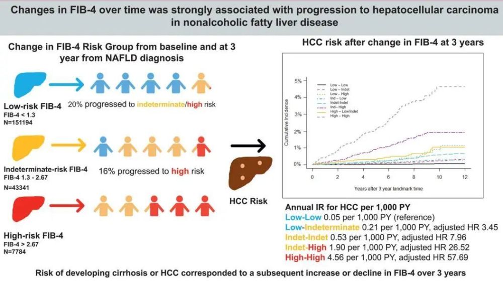 JOH丨FIB-4评分的纵向变化可预测NAFLD患者肝硬化、肝癌风险_腾讯新闻