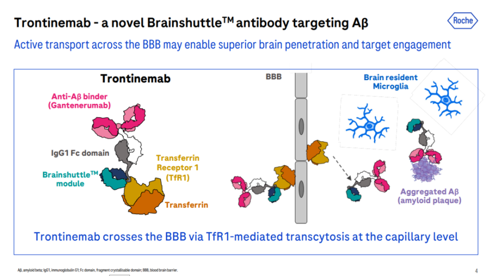 速递 | 穿越血脑屏障！罗氏阿尔茨海默病新药临床数据亮眼_腾讯新闻