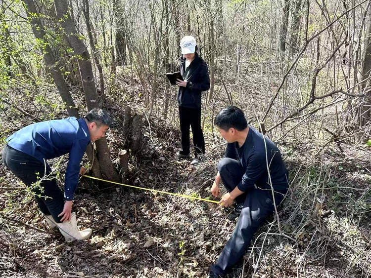 长白山下寻红迹 安图传承续华章_腾讯新闻
