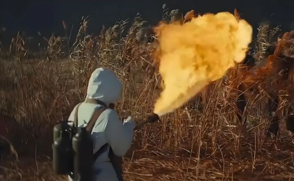 电影《731》官宣定档2025年7月31日_腾讯新闻